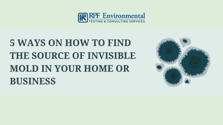 Hidden Mold : Signs, Where, and How to Look