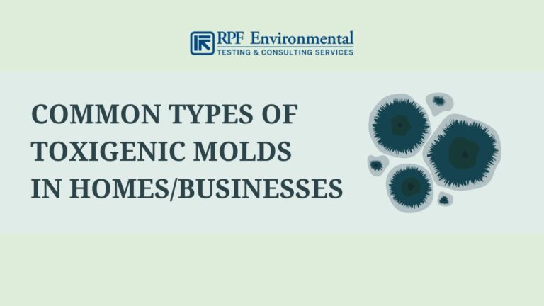20 Most Common Types of Mold in Homes: Identification & Health ...