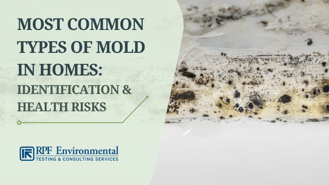 Cladosporium In Homes