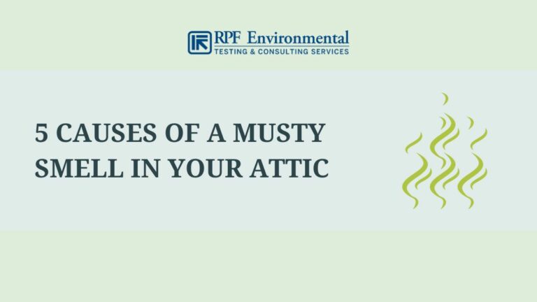 5 Causes of Musty Smell in the Attic & How to Get Rid of Them