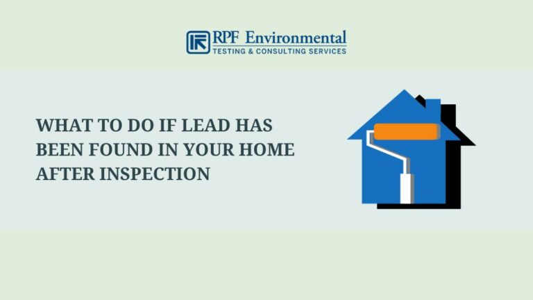 Building Lead Inspection: Everything You Need to Know